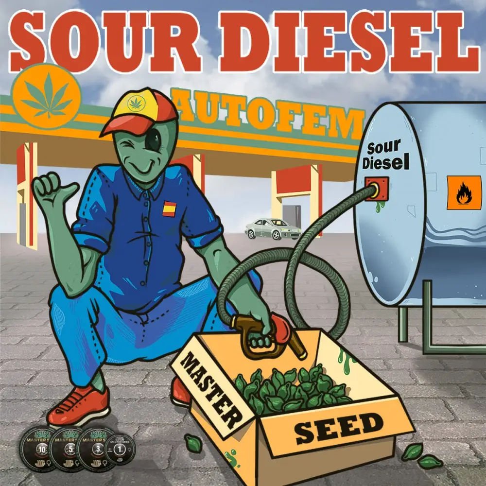 Насіння коноплі Sour Diesel autofem. Іспанія | MASTER-SEED
