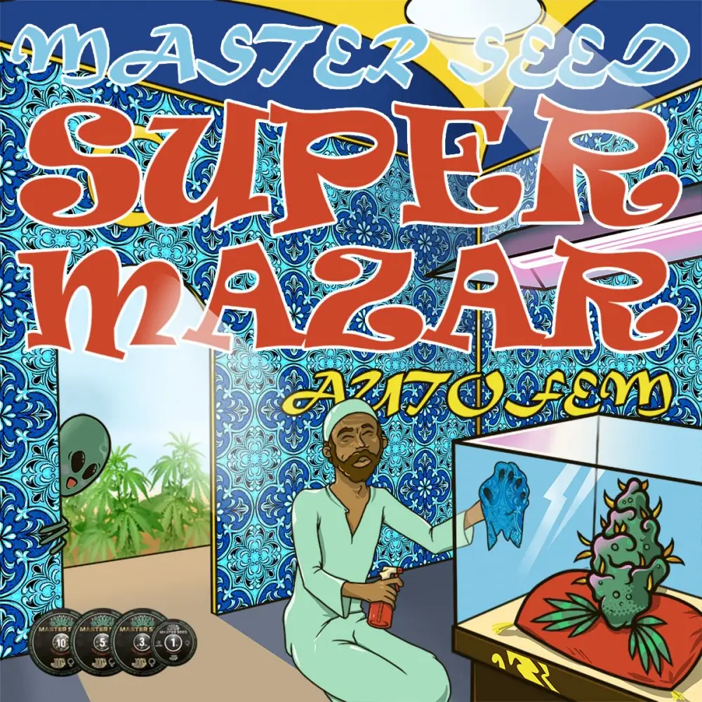 Купити насіння коноплі Super Mazar autofem | MASTER-SEED в Україні
