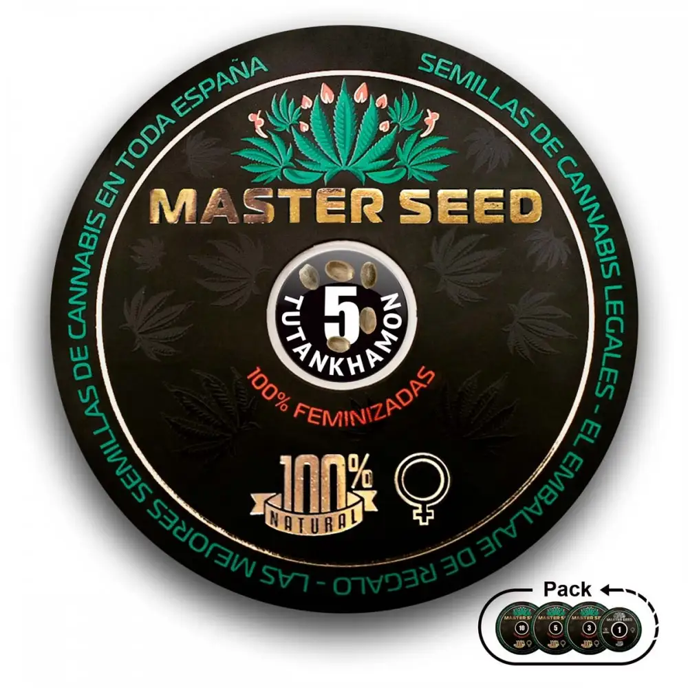 Семена конопли Tutankhamon fem. Испания | MASTER SEED